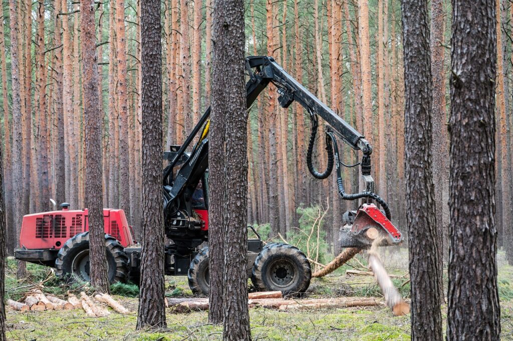 Forestry Equipment and Its Role in the Forestry Industry - Lumbermensco